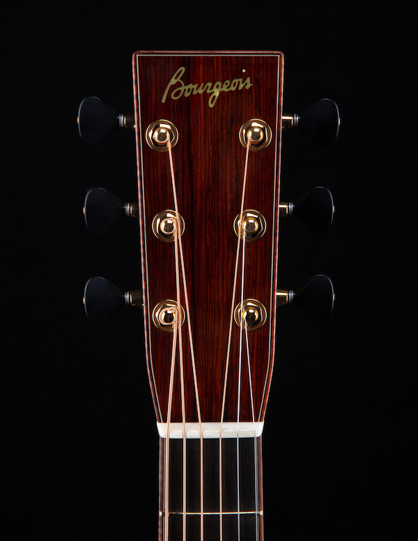 8678-10 – FUNGUITAR